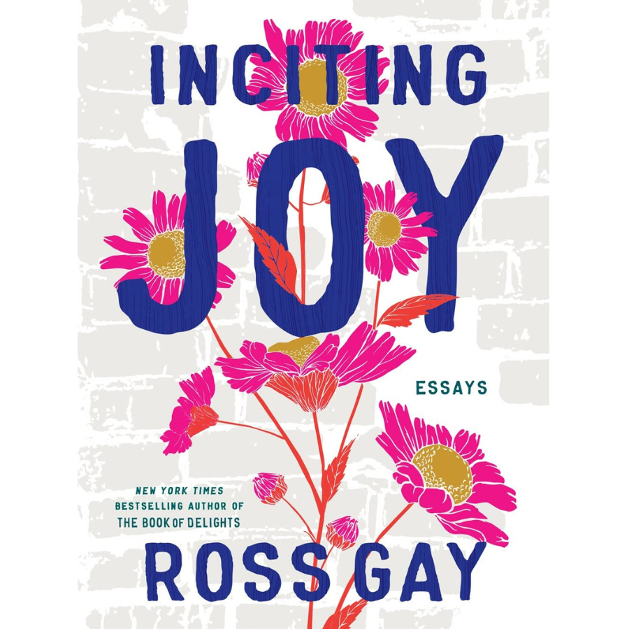 Inciting Joy, Gay | ST. MARK'S BOOKSTORE